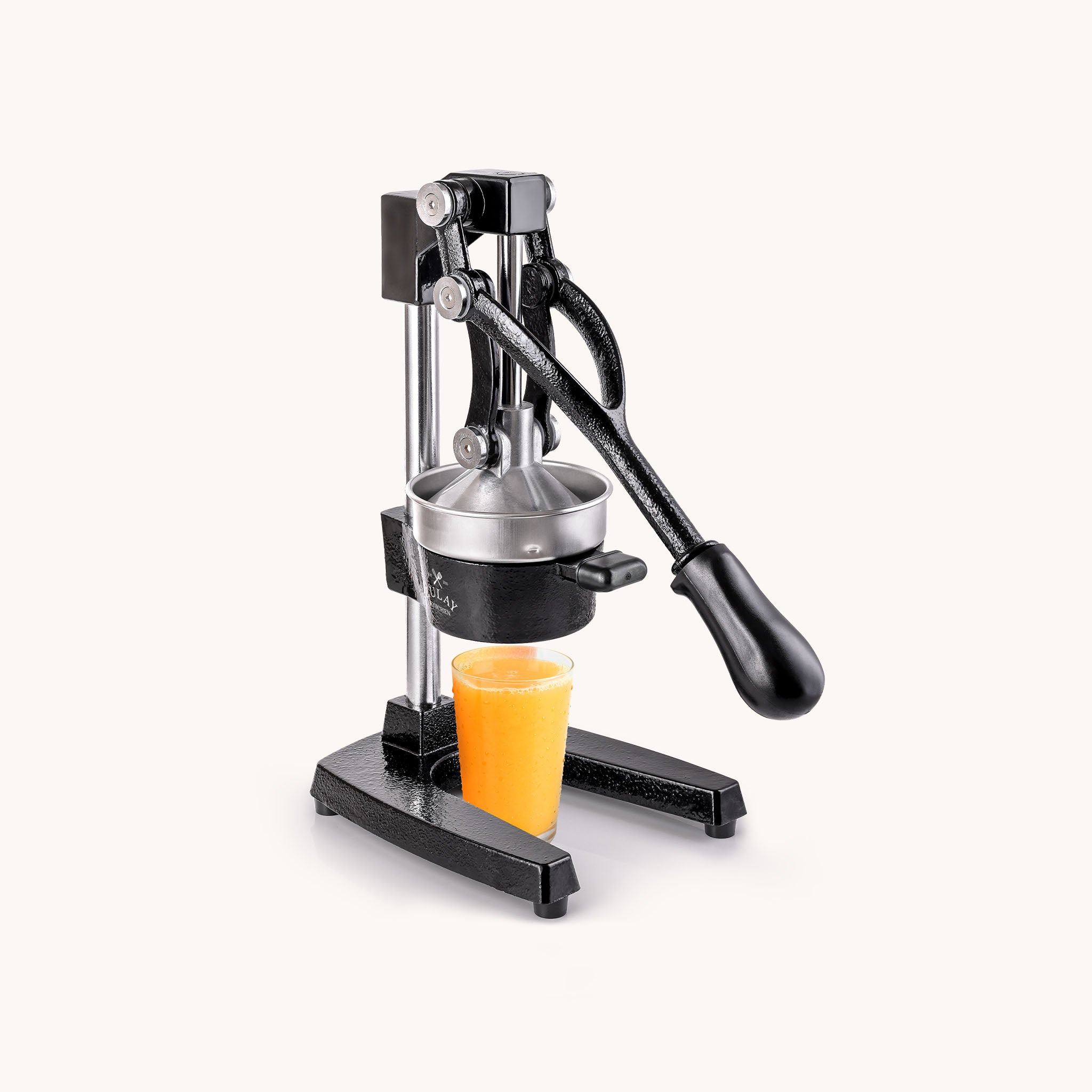 Heavy-Duty Manual Juice Press | Zulay Kitchen
