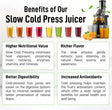 Zulay Kitchen Masticating Juicer